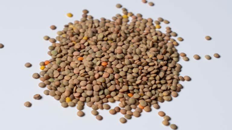 Lentils (Cyprus) | Marathasa Valley Nuts